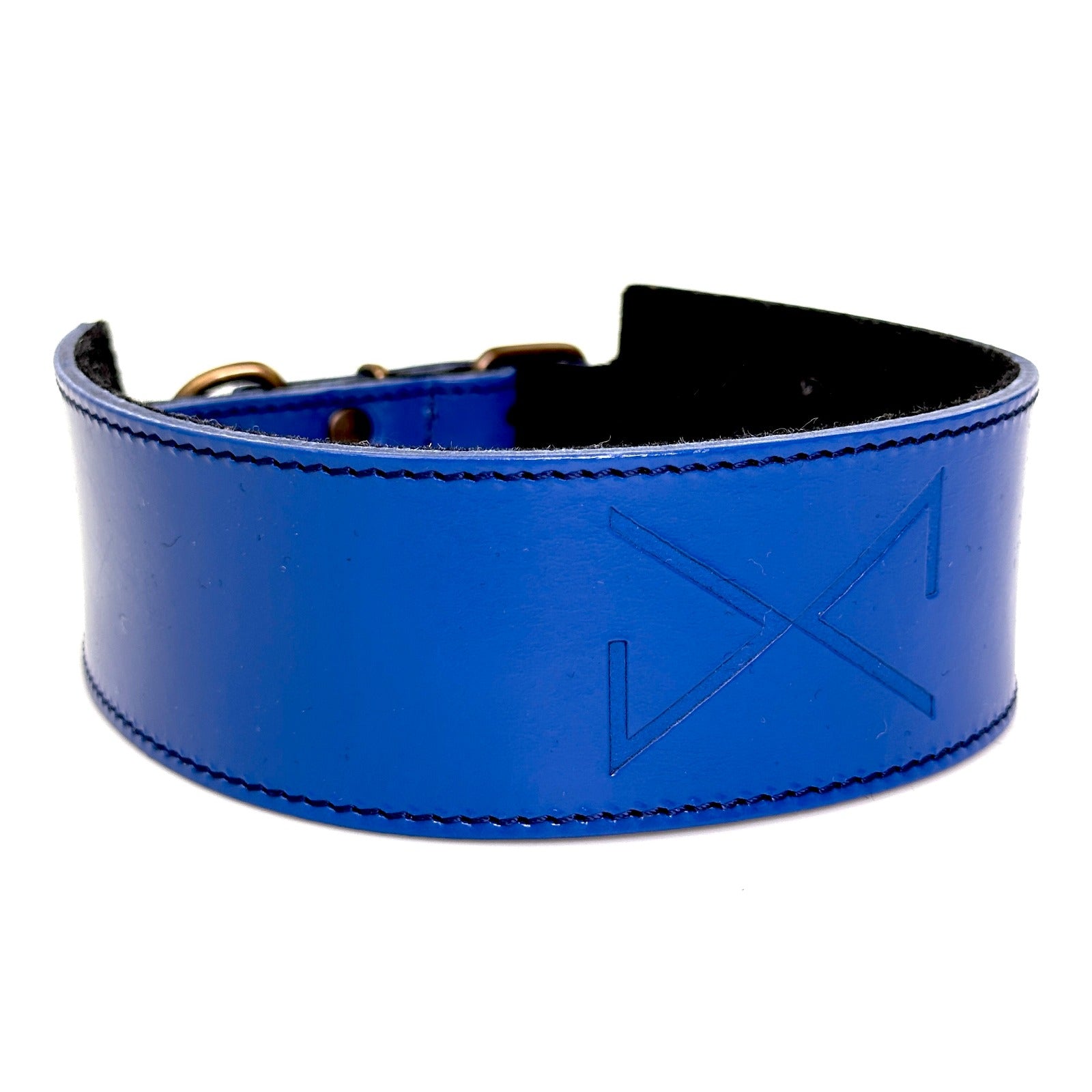 Collar Canino de Piel Azul Klein – Daniel Chong